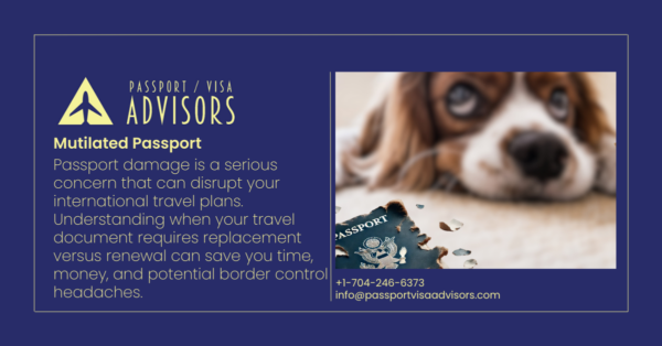 When Is Your Passport Too Damaged to Use? – Passport Visa Advisors